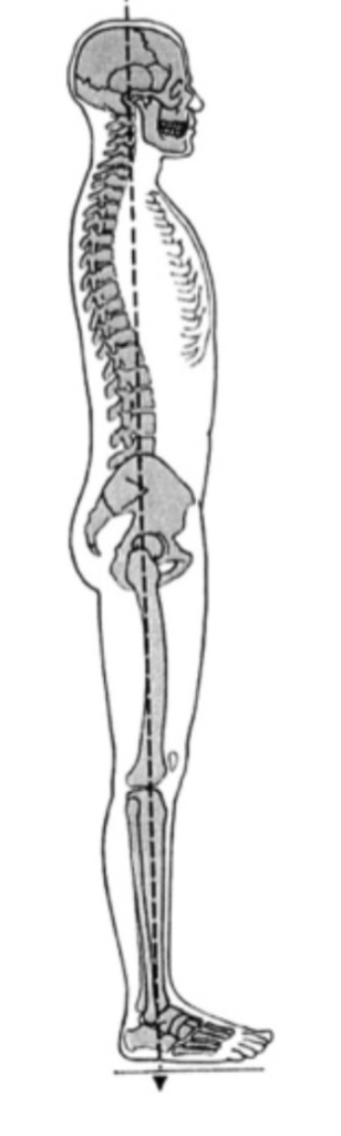 CK Clinic – Standing Posture
